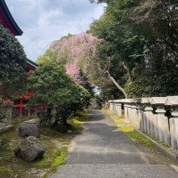 Hamuda Room – On/Offline Japanese lesson, life in Sebia